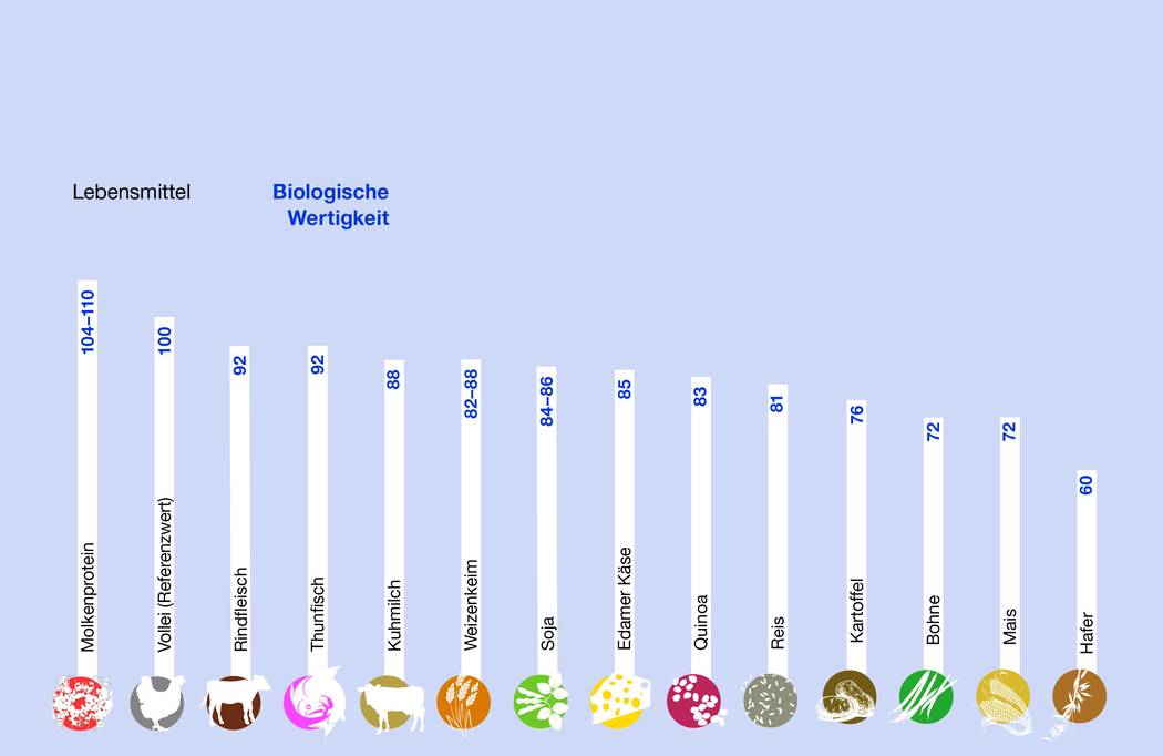 Biologische Wertigkeit Tabelle Pdf